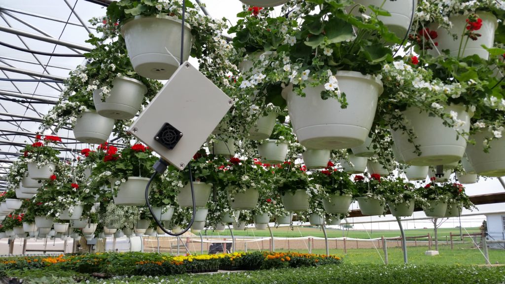 Greenhouse Disease & Pest Management | Advancing Alternatives