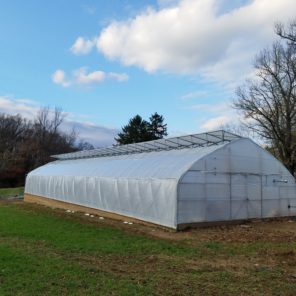 Advancing Alternatives | Natural Greenhouse Ventilation & Automation