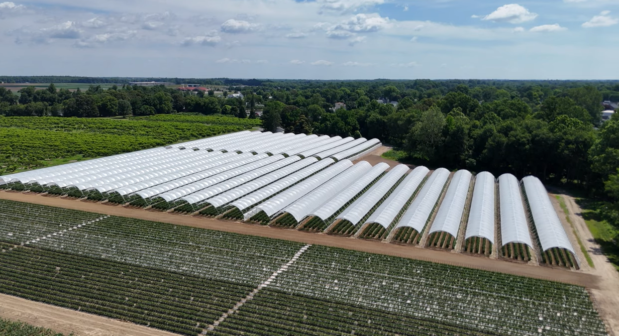 Custom Commercial Greenhouse Design